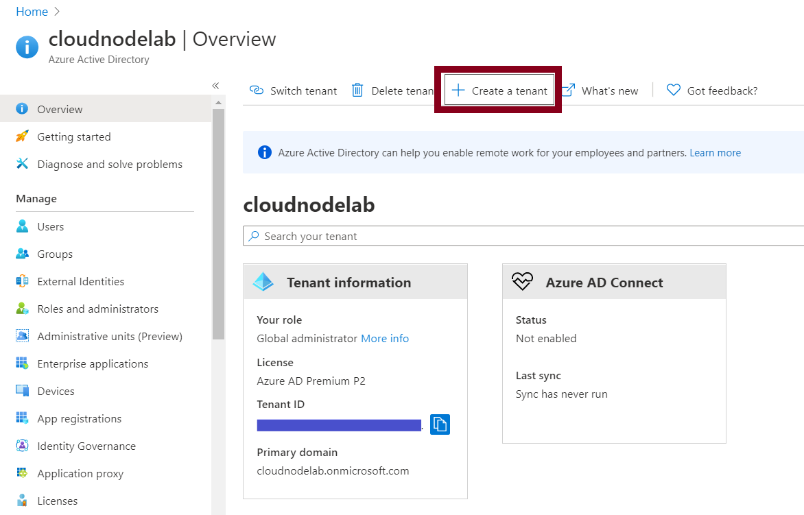 Creating a New Azure AD Tenant